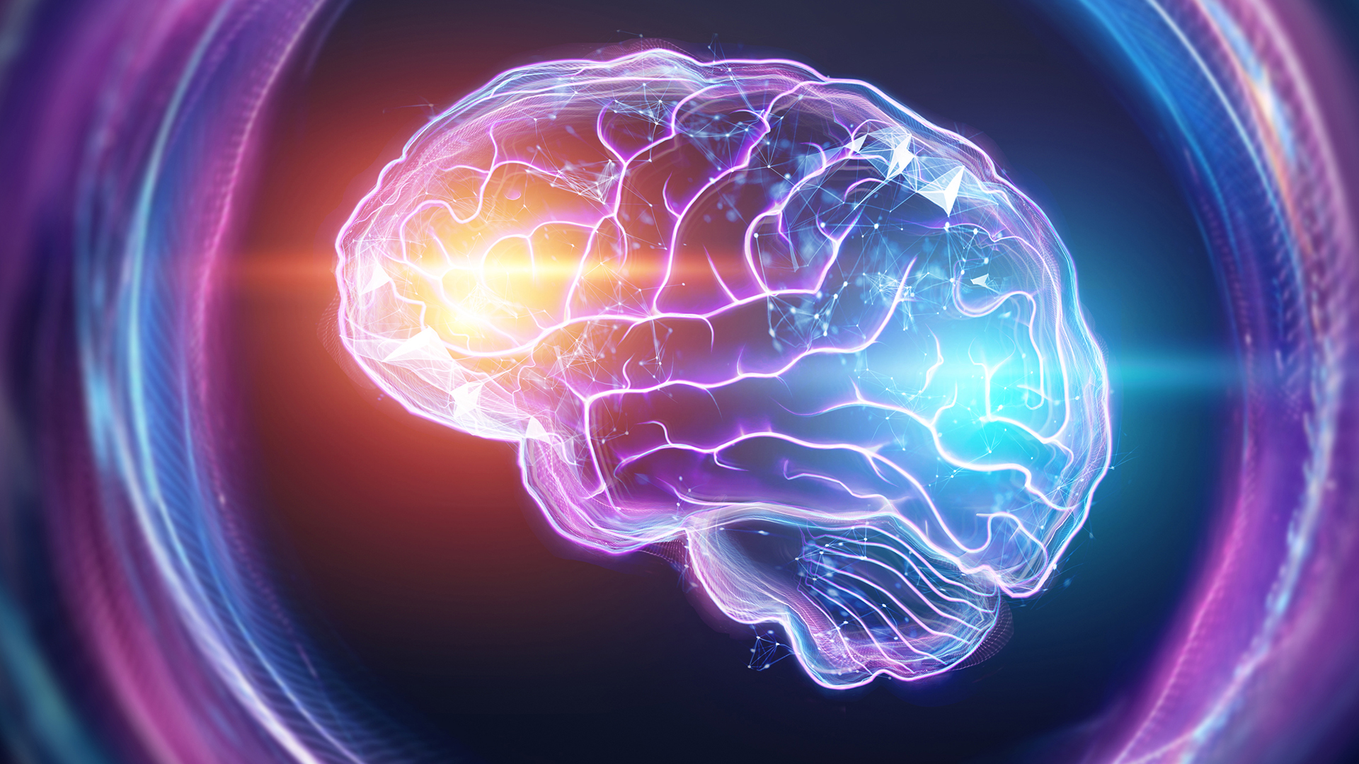 Rapid Visual Library Protocol – JB Courses